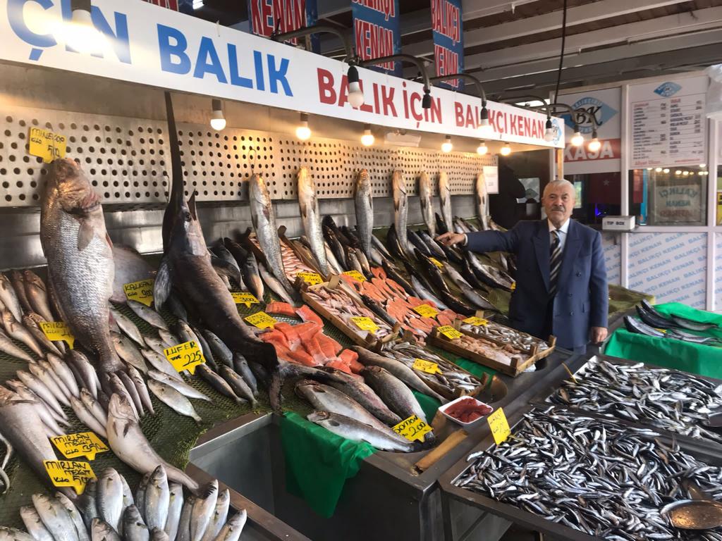 BALIKÇI KENAN: HASTALIKLARIN KALKANI PALAMUT VE HAMSİ – Zeyna Gazetesi